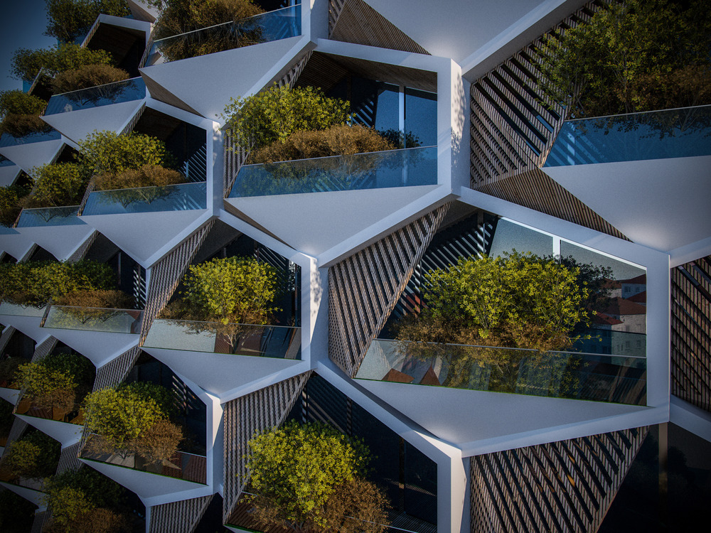 Evolution of Housing Design - Dok Arch